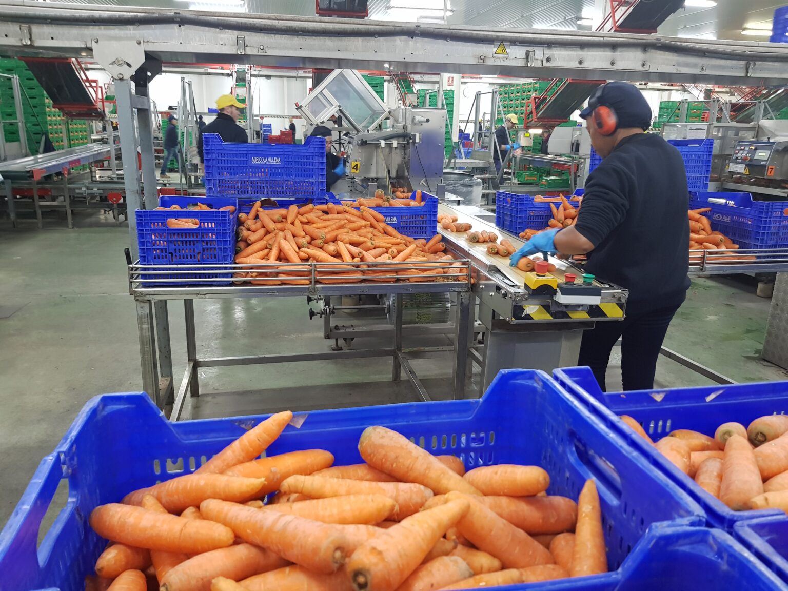 Villena concederá la Medalla de Oro a la Cooperativa Agrícola Villena ...